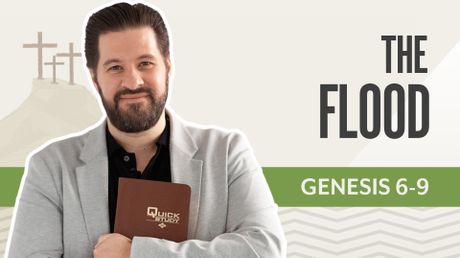 Bible Discovery TV | The Real Life Network