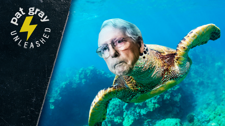 Pat Gray Unleashed | BlazeTV