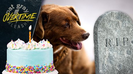 Pat Gray Unleashed | BlazeTV