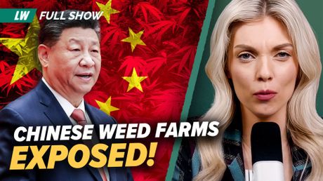 The Liz Wheeler Show | BlazeTV